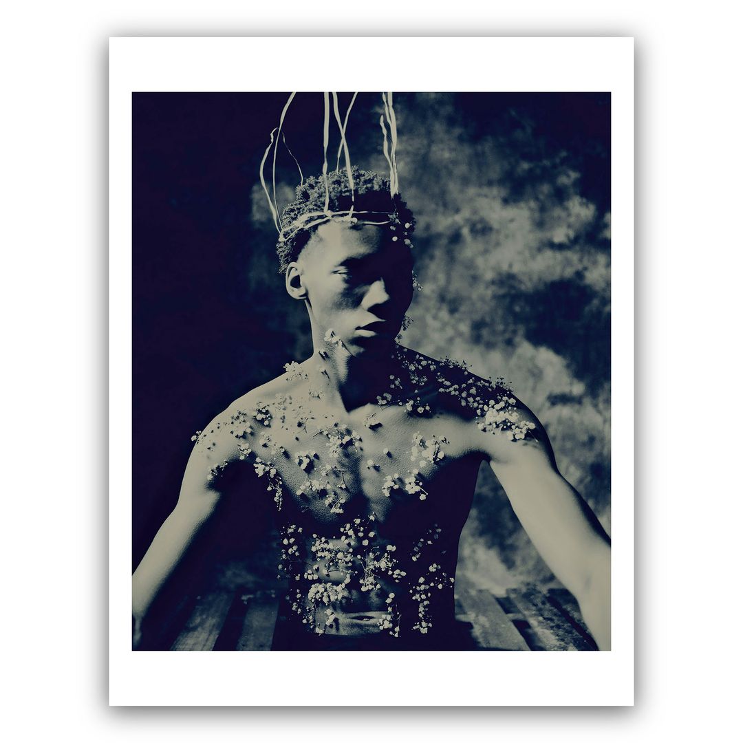 Lupa by Colleen Barry – Brooklyn Editions Limited Edition Print Store