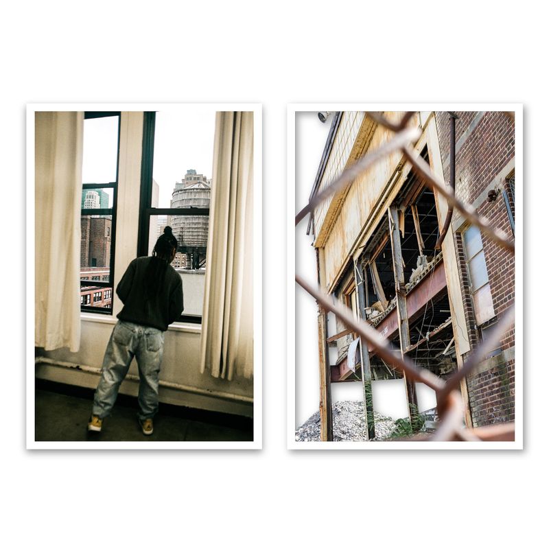 Lupa by Colleen Barry – Brooklyn Editions Limited Edition Print Store