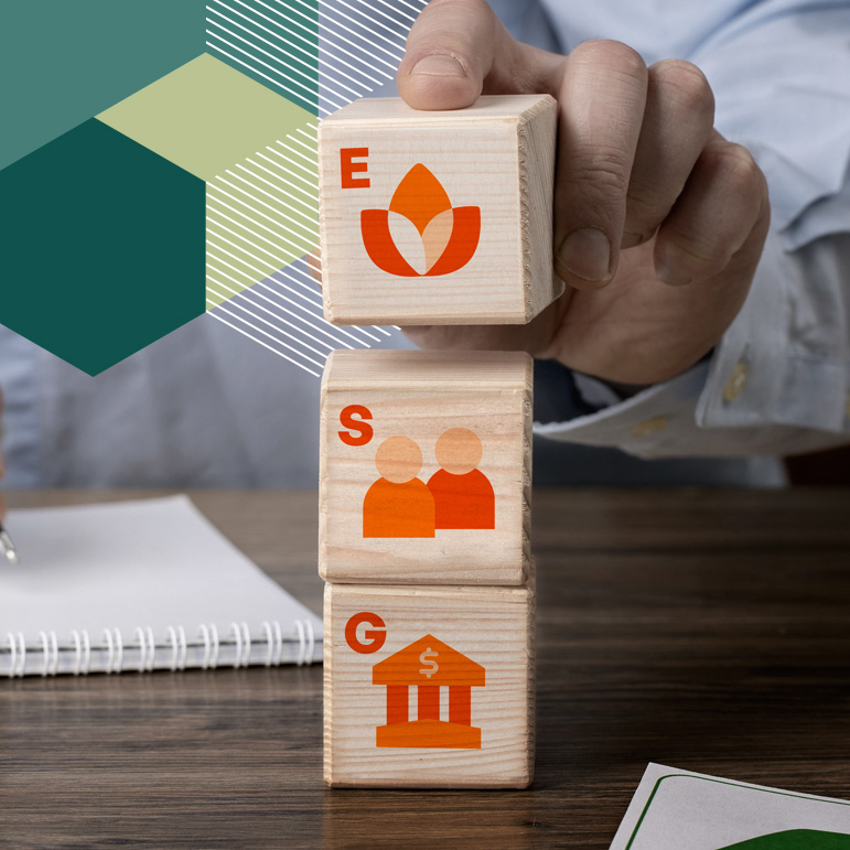 Sustainability and Climate Related Disclosures | Mosaic NZ