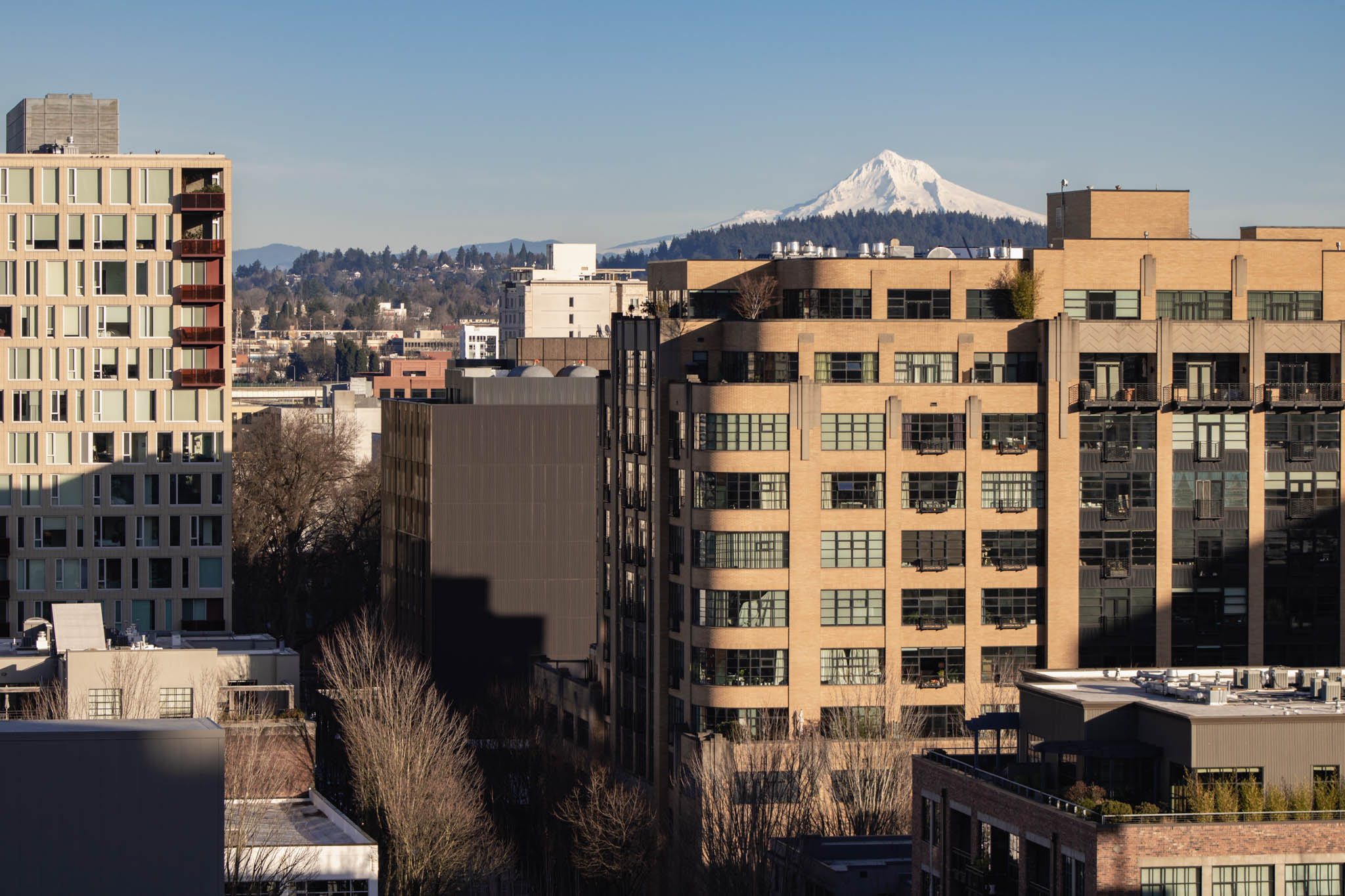 Home | Pearl District