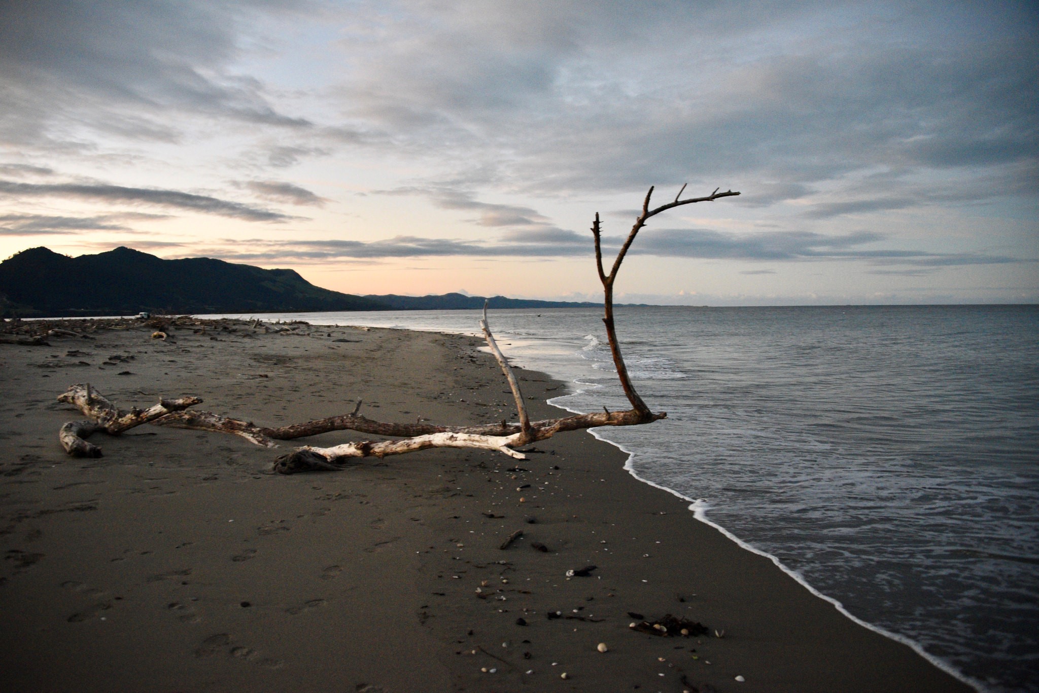 From codes of conducts to pledges: the power of WHY