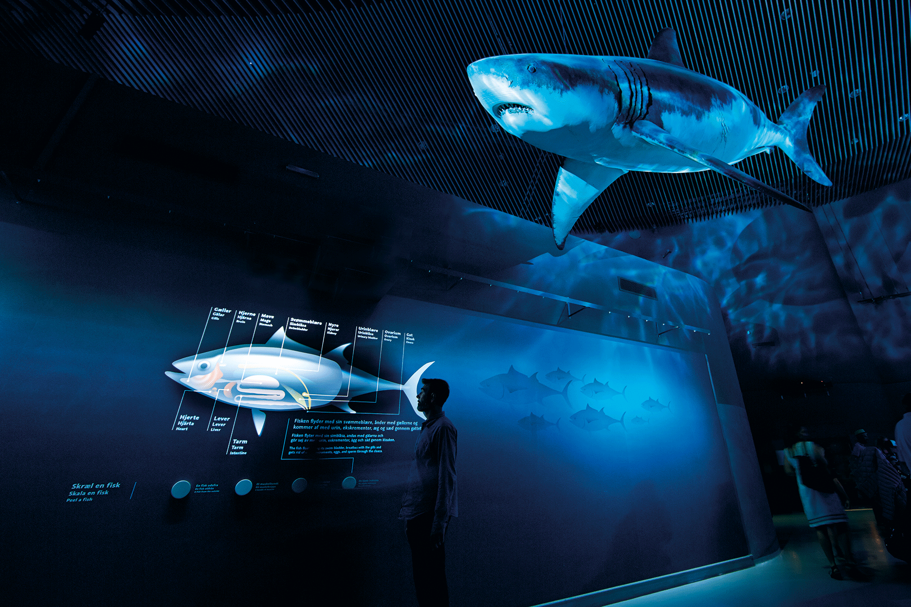 Den Blå Planet - Den Blå Planet