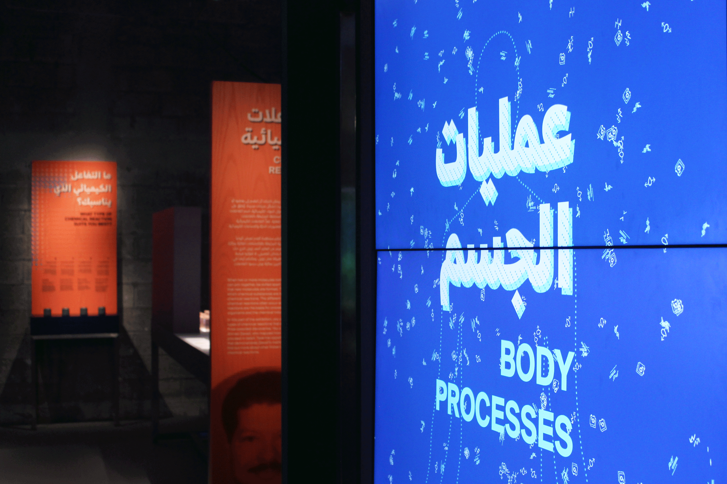 Connecting Elements - The Nobel Museum