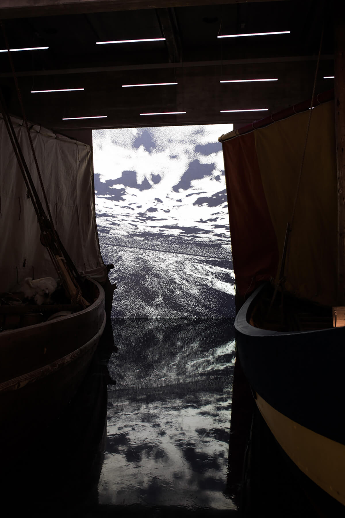 Climb Aboard - The Viking Ship Museum