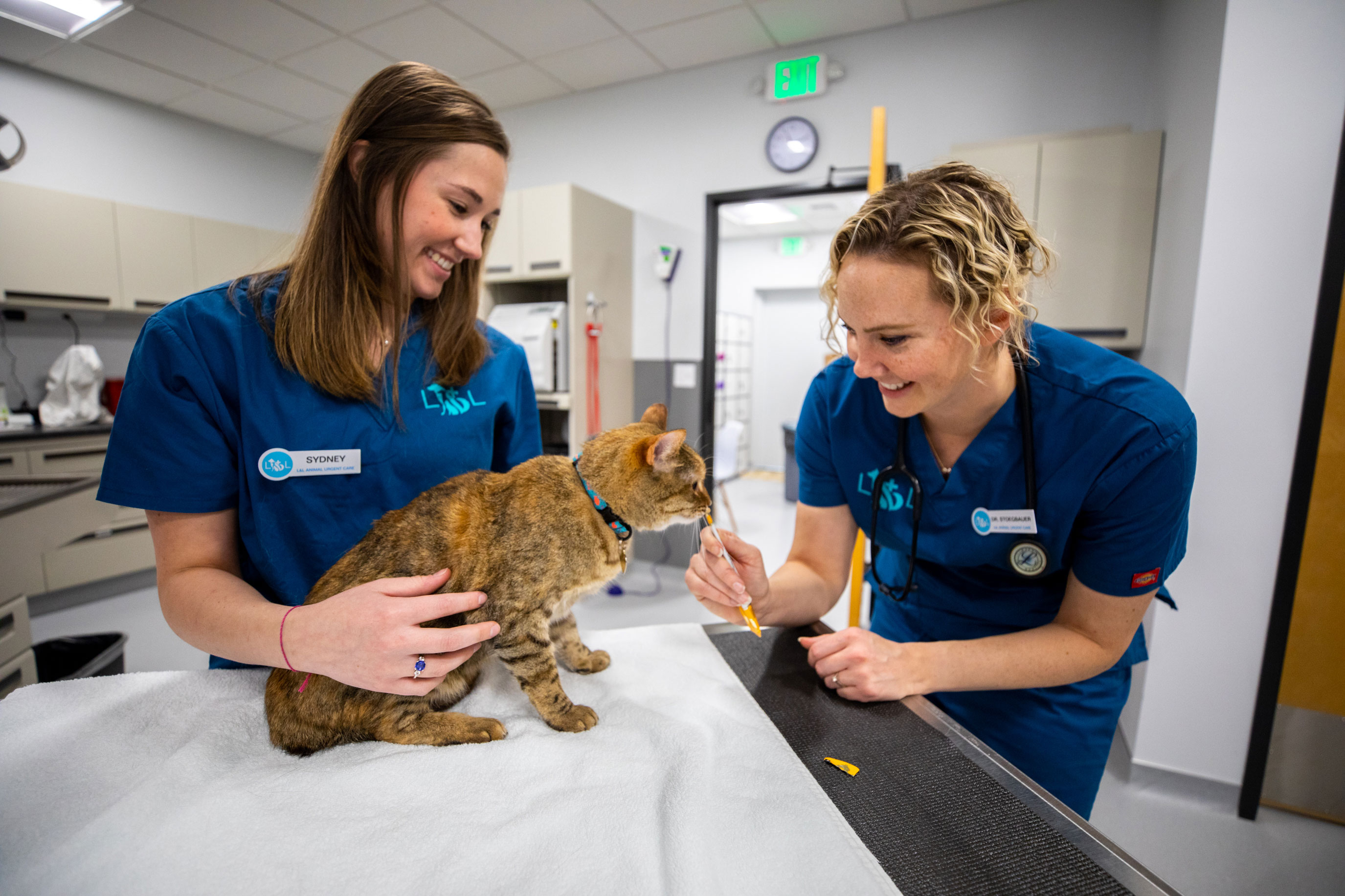 High-Quality Vet Hospital in Kirkland, WA| L & L Animal Urgent Care