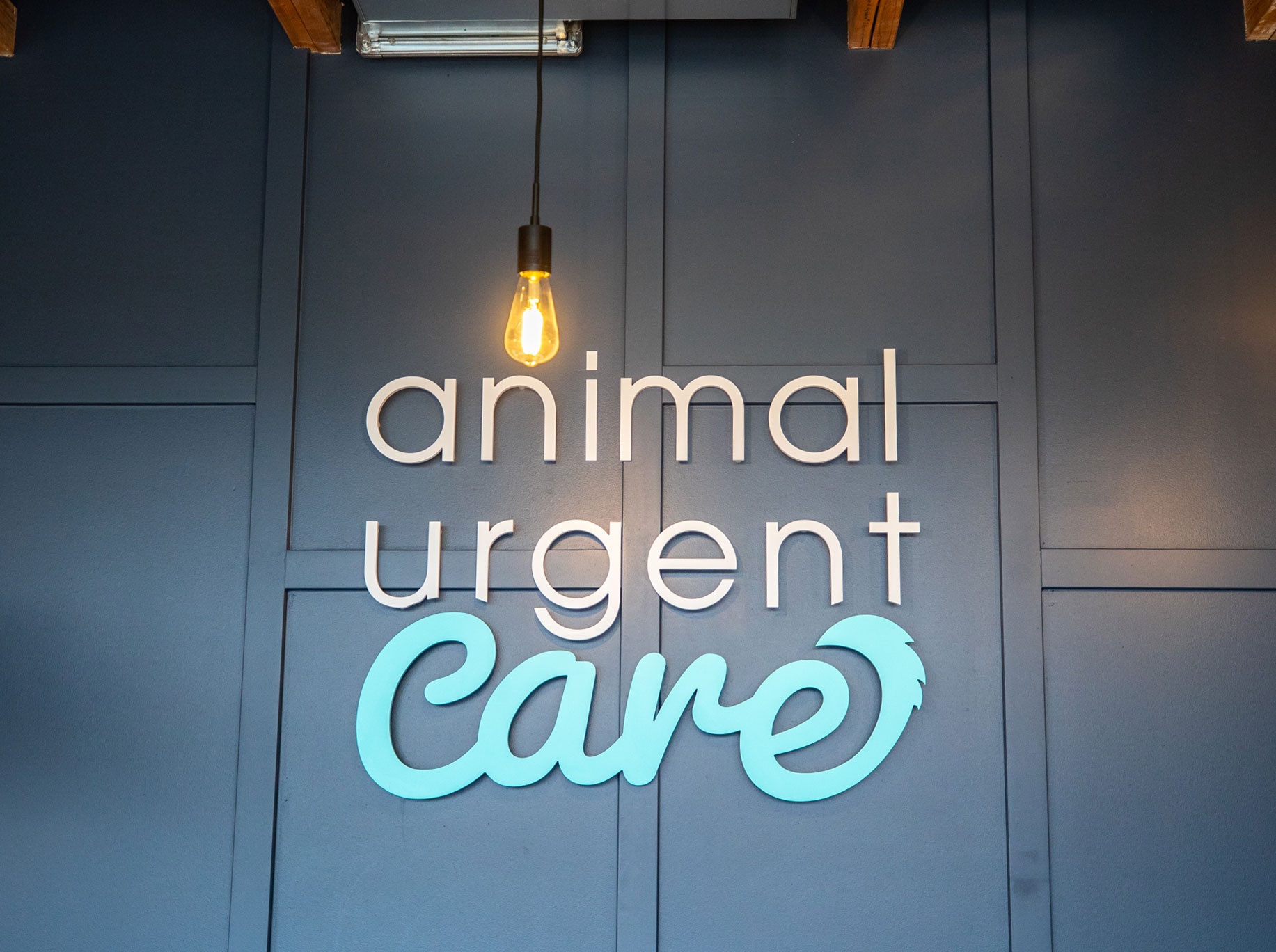 High-Quality Vet Hospital in Kirkland, WA| L & L Animal Urgent Care