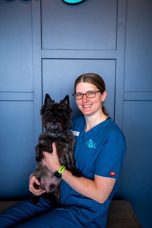 Meet Our Doctor | Dr. Stephanie Stoegbauer, DVM