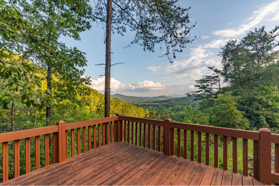 Bears Paw Blue Ridge GA Properties at The Woodland Group