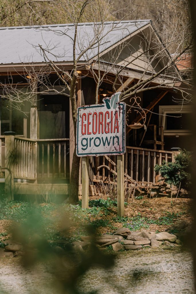 Bears Paw Blue Ridge GA Properties at The Woodland Group