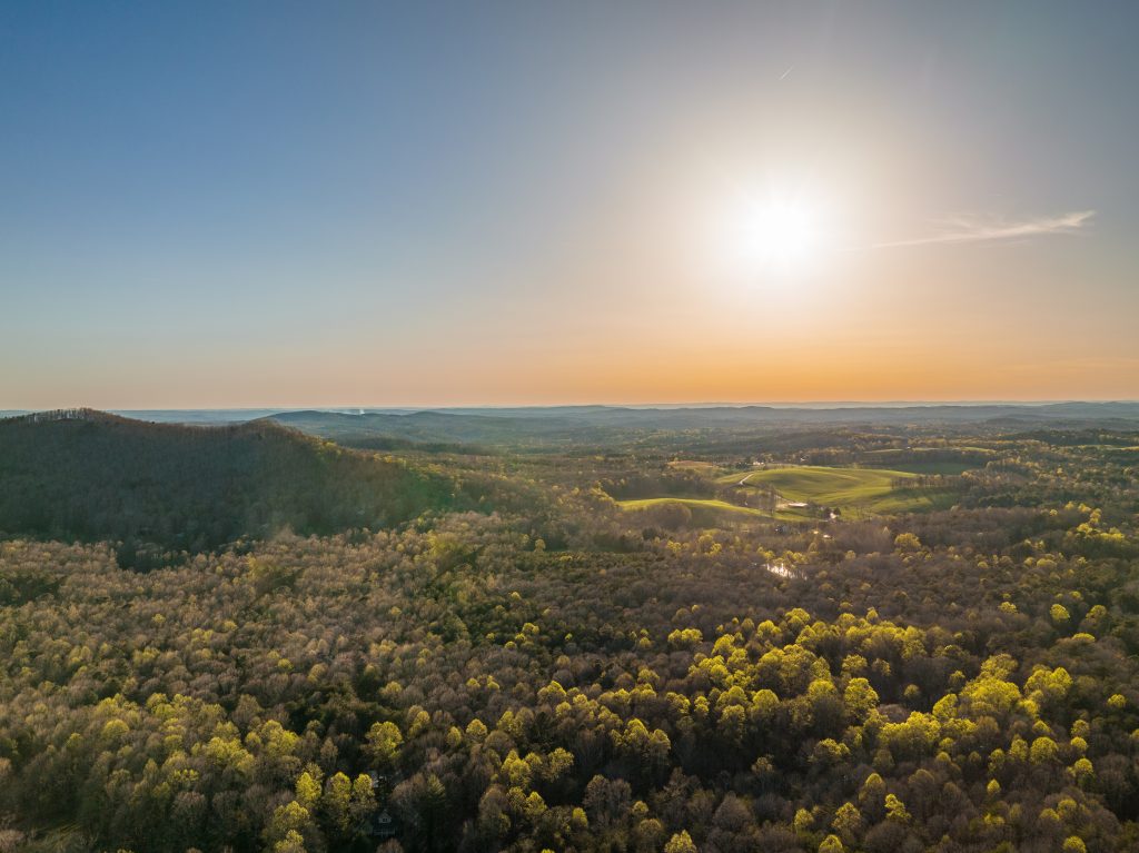 Bears Paw Blue Ridge GA Properties at The Woodland Group