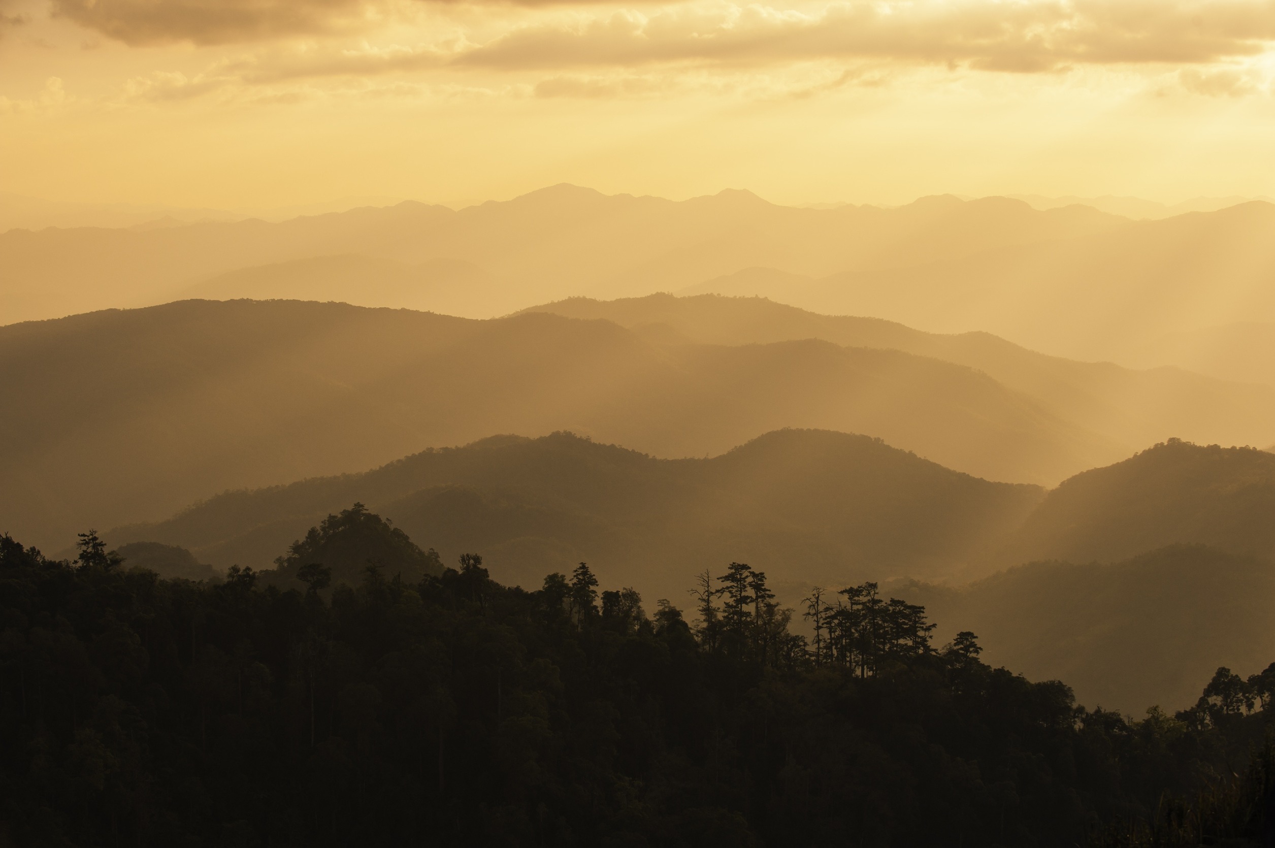 Southeast Tennessee Mountain Living Guide | The Woodland Group