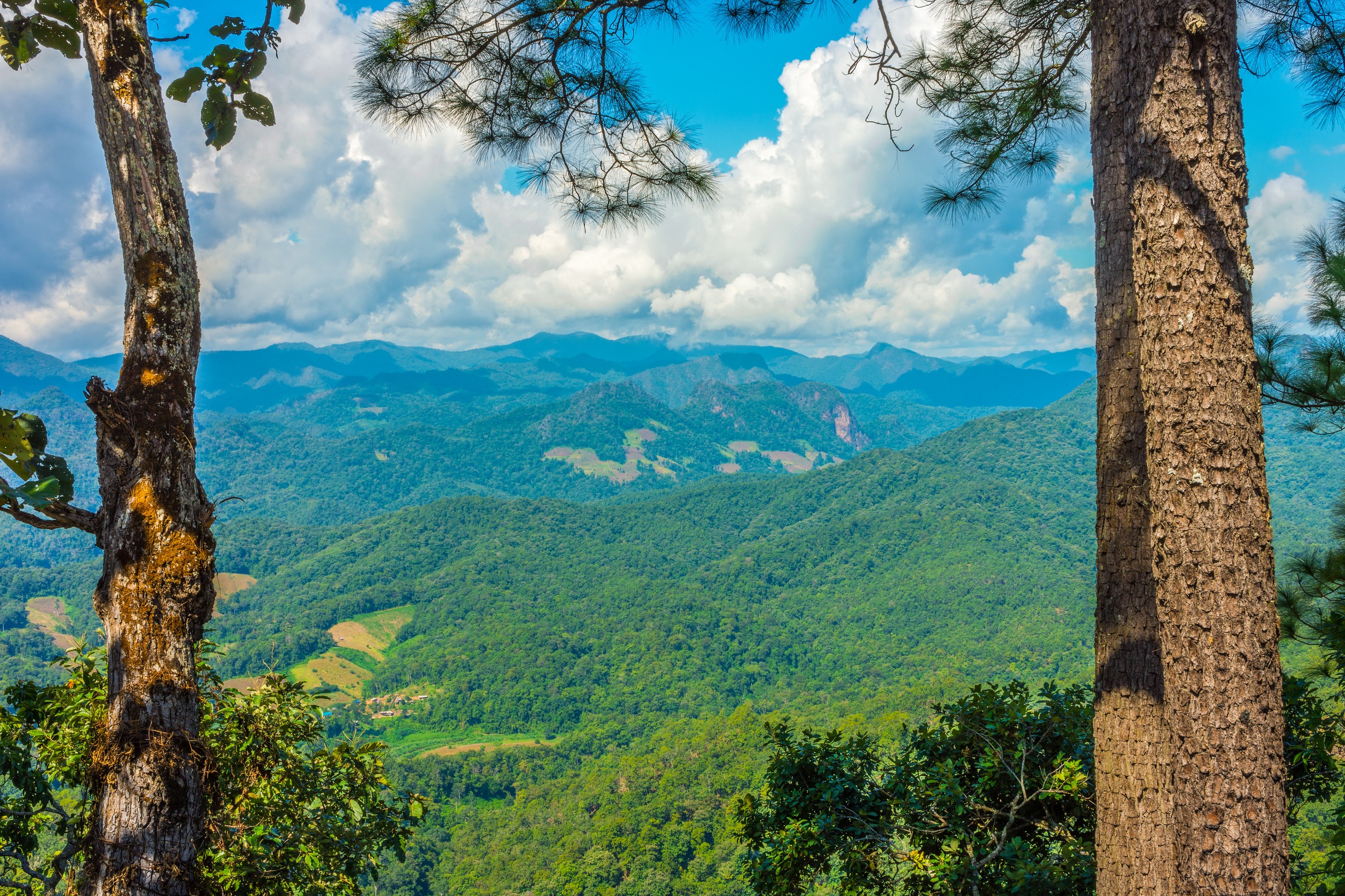 5 Interesting Facts About the MC Mountains | The Woodland Group