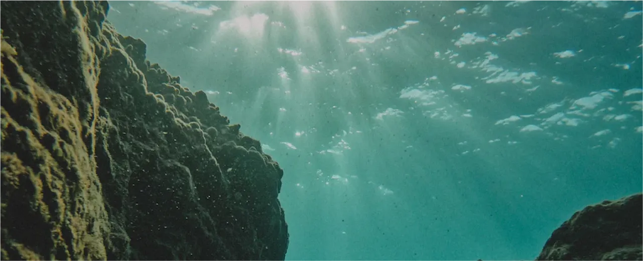 LOOKOUT: AI-Powered Marine Camera for Safer Boating