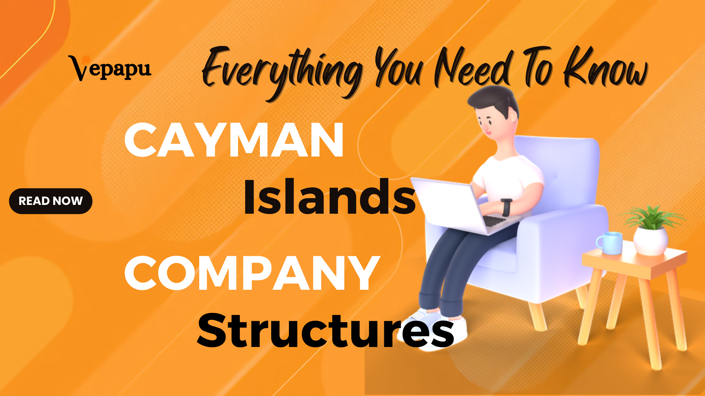 Company Structures in the Cayman Islands: A Detailed Comparative Analysis