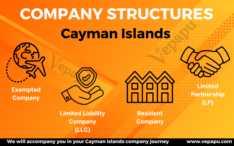 Company Structures in the Cayman Islands: A Detailed Comparative Analysis