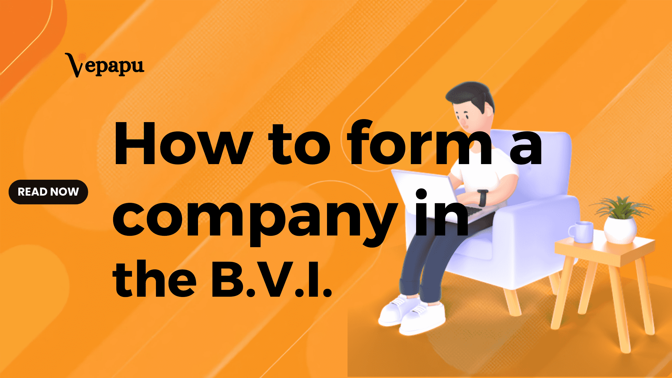 Form Your Company in the British Virgin Islands (BVI): A Detailed Step ...