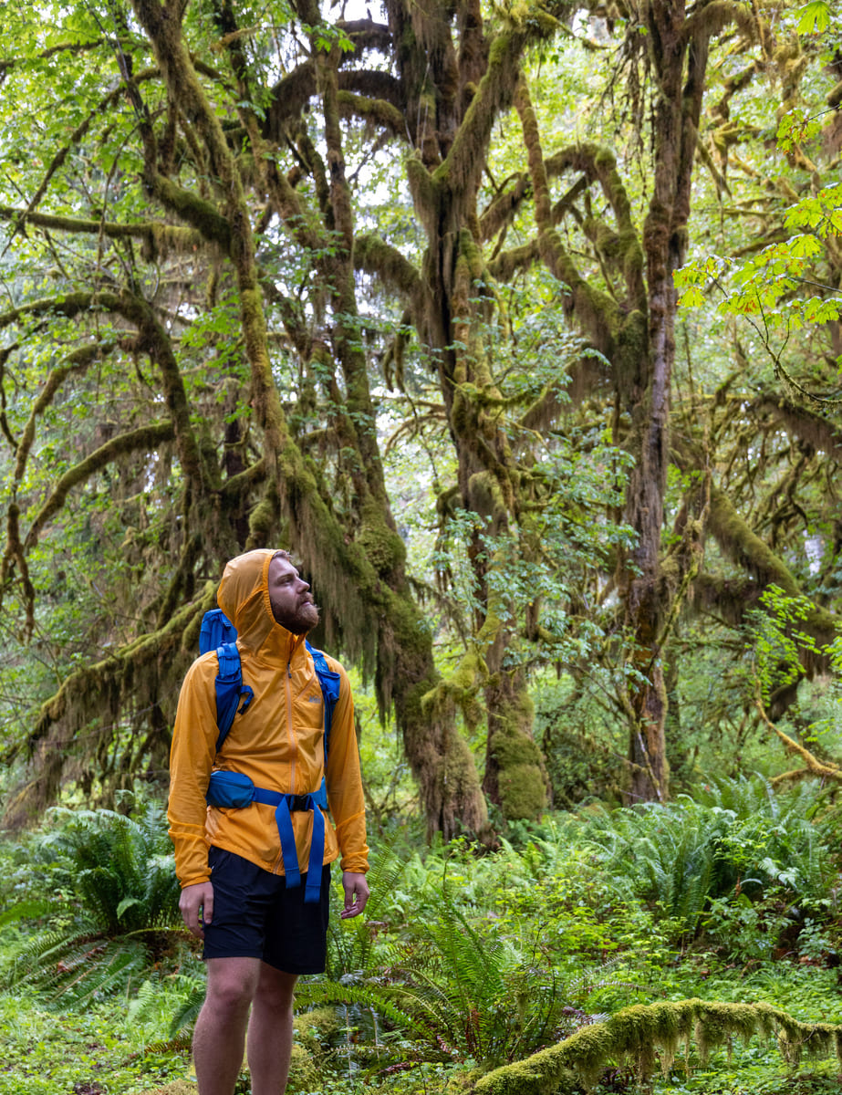 The Ultimate Washington Road Trip | Blog | Travel With Dalt