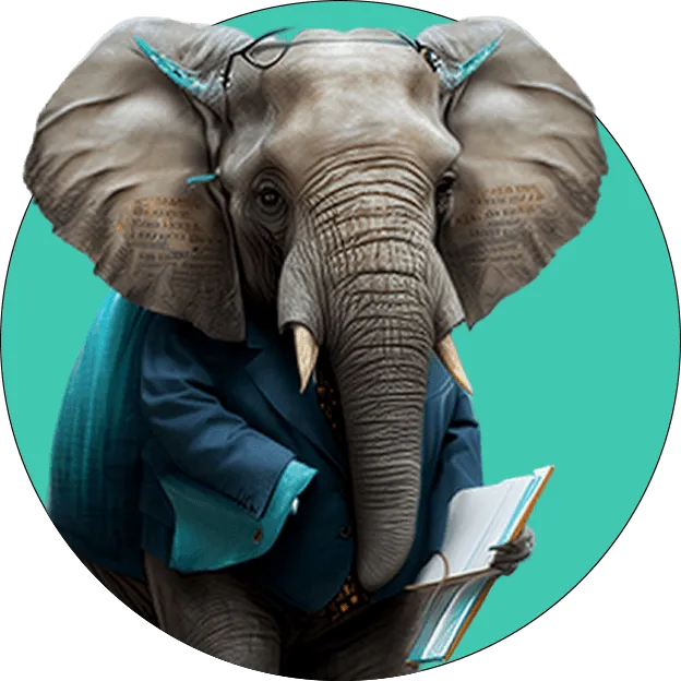 Accountants for NDIS Businesses | Elephant Advisory