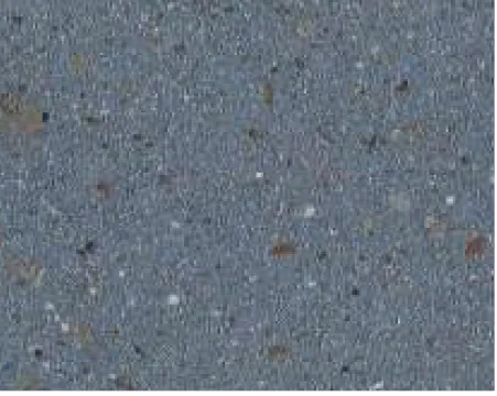 Microcement Color Chart | High Desert Concrete Design - Albuquerque, NM