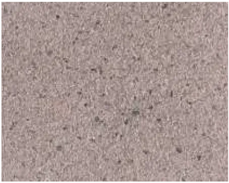 Microcement Color Chart | High Desert Concrete Design - Albuquerque, NM