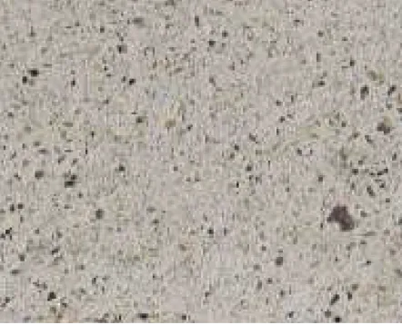 Microcement Color Chart | High Desert Concrete Design - Albuquerque, NM