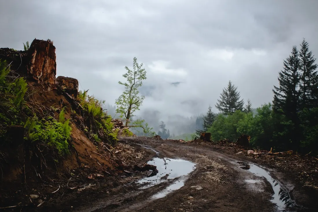 Comment éviter la boue ? - Koncrete