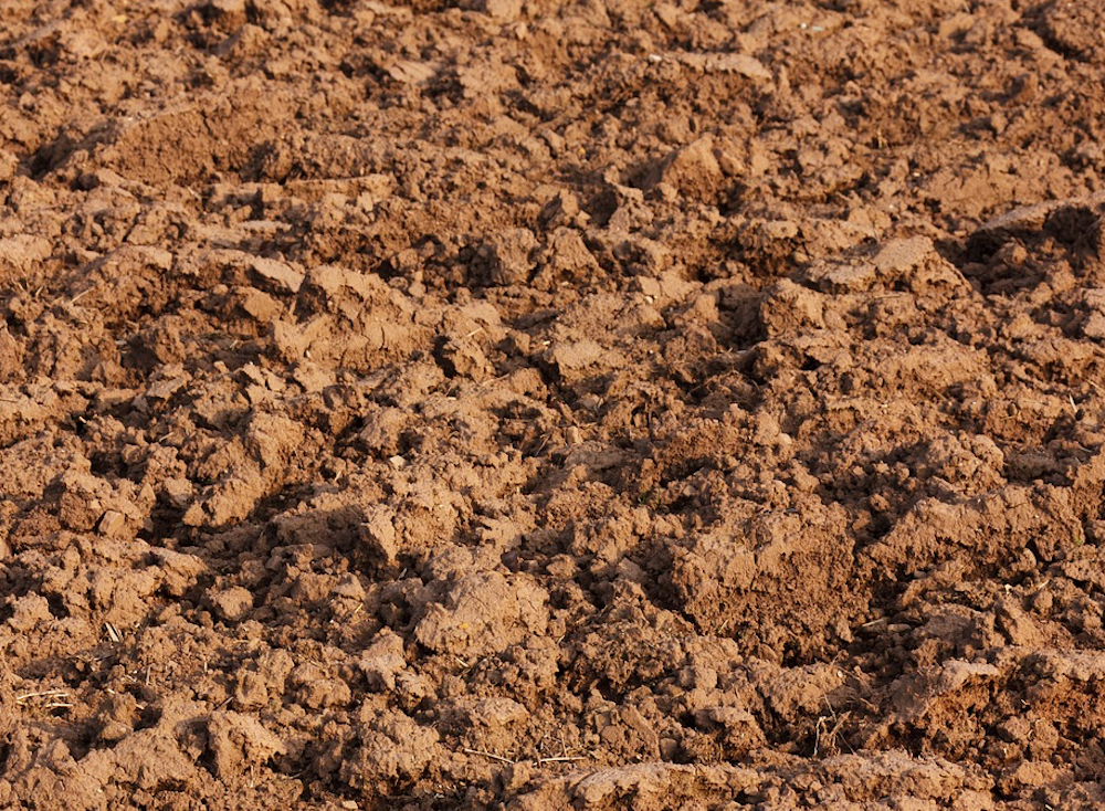 Quels Sont Les Différents Types De Terres Appelées? - Science - Constante