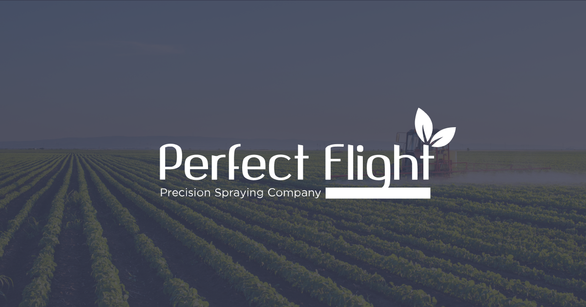 Perfect Flight - Planos