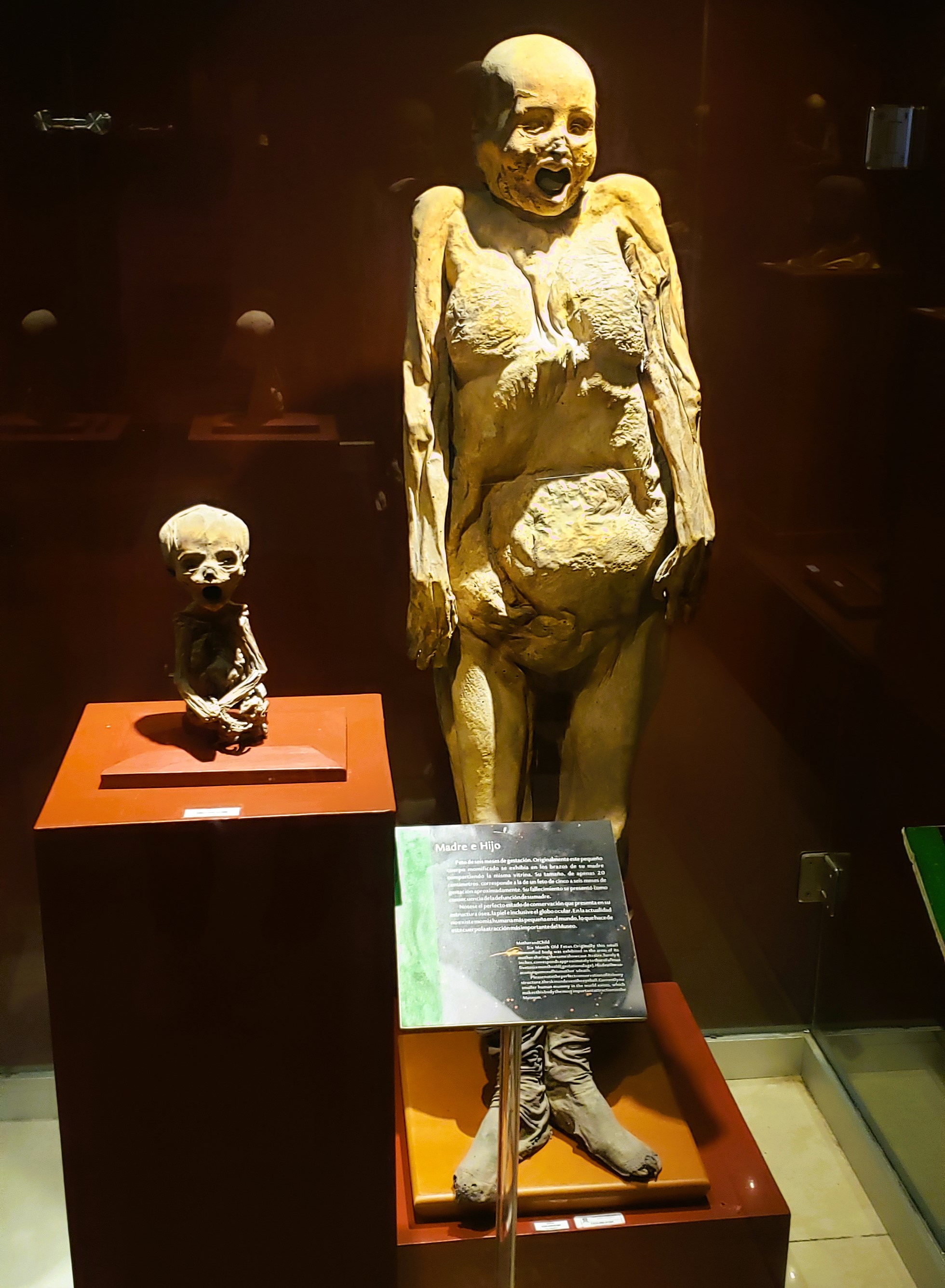 Guanajuato Mummies: Exploring the Eerie Macabre Museum of Mummies