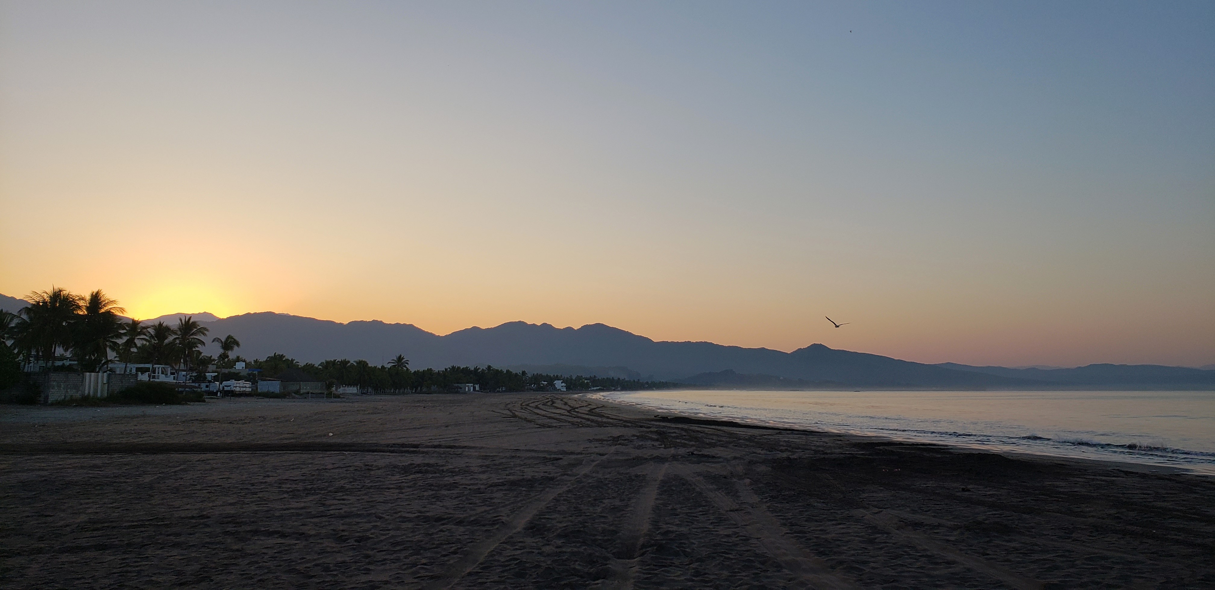 Top Things to Do in San Blas Mexico