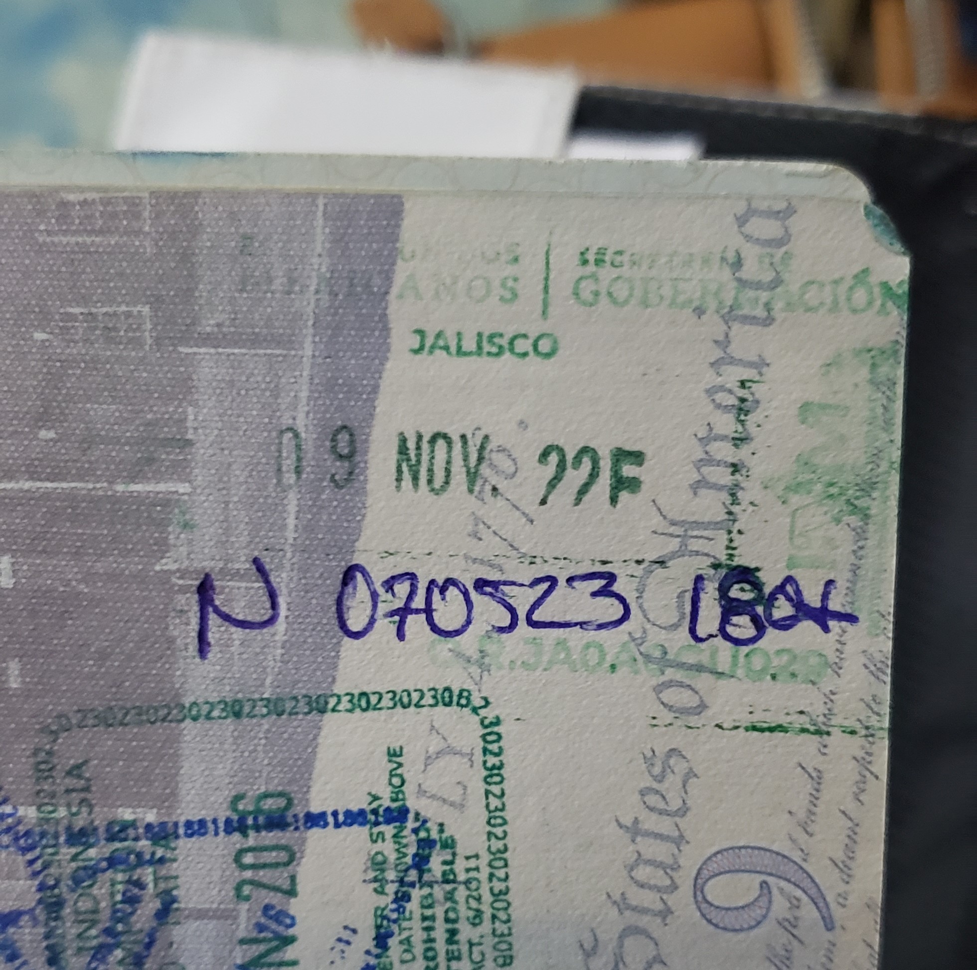 The Digital Nomad Visa - Mexico