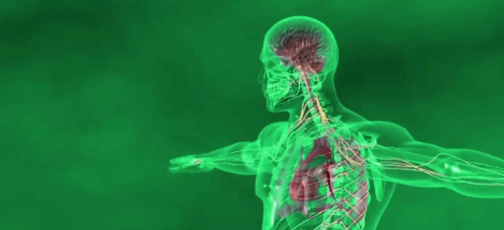 Reduce Pain & Recover Faster With NeuFit's Neuromuscular Electrical ...