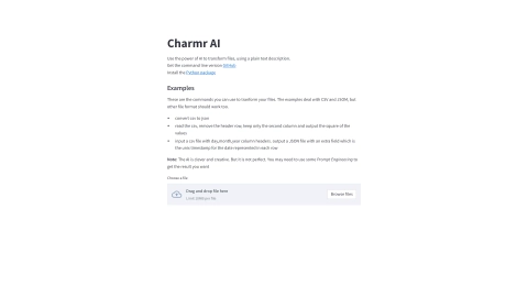 Streamlit AI Web App Development - Charmr AI