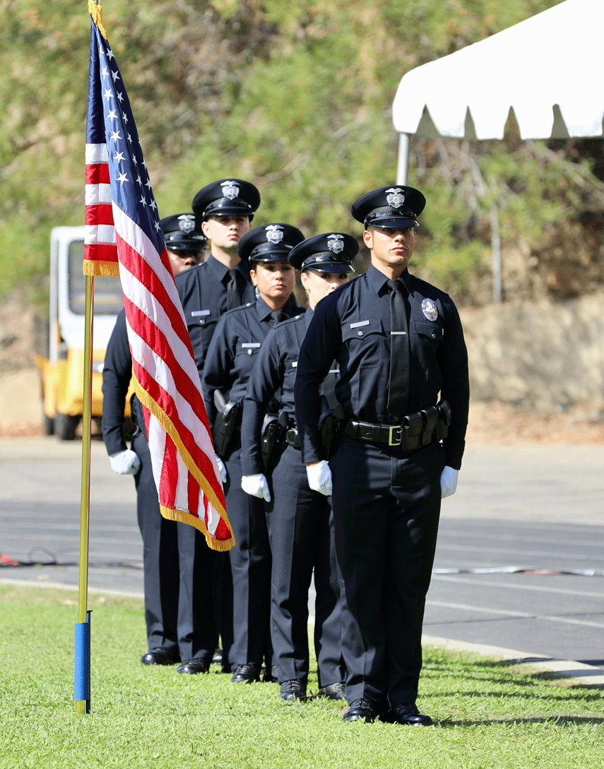 Step 1 Online Application