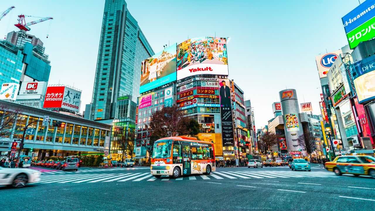 MyMeta Japan & Treebell Unveil Unique DAP Service for Japanese Market ...