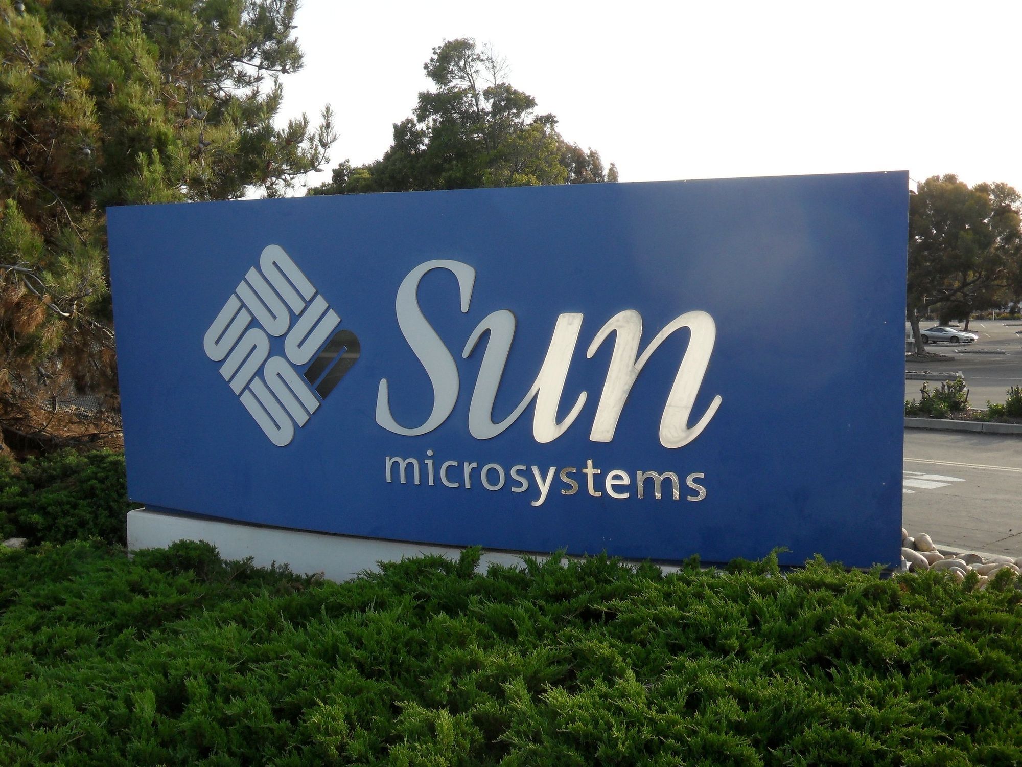 Peter Trapasso | AI artist & Web Strategist