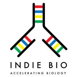 VC Firms for Biotech in 2024: Supporting Innovation & Growth