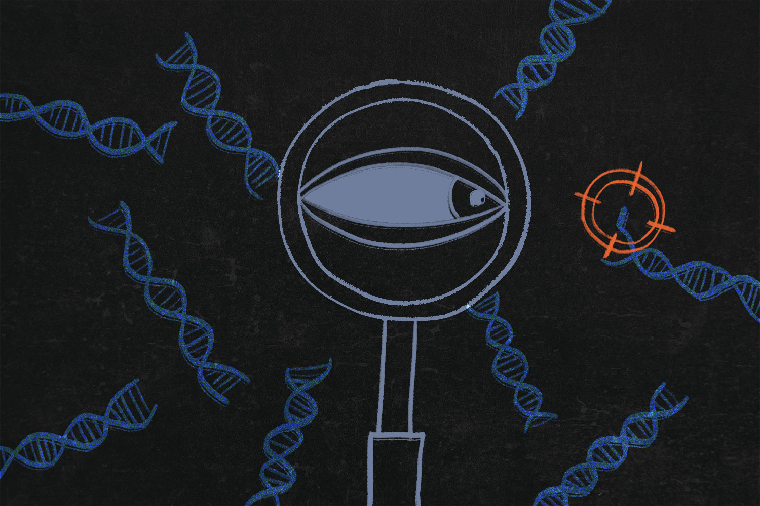 Exonuclease: Overview & Definition of this Important Enzyme