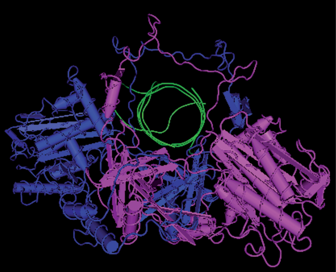 DNA-Binding Proteins: Overview & Application