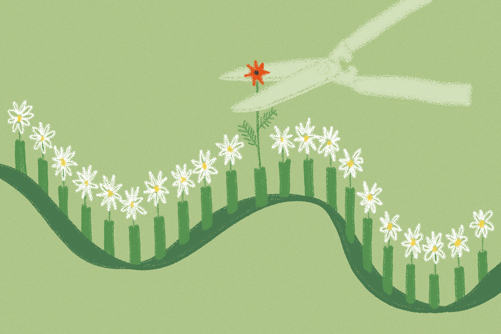 Prime Editing And Crispr Cas9 Advancing Gene Editing