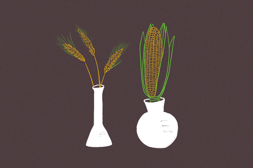 Lab Equipment List for Agricultural Biotechnology Research
