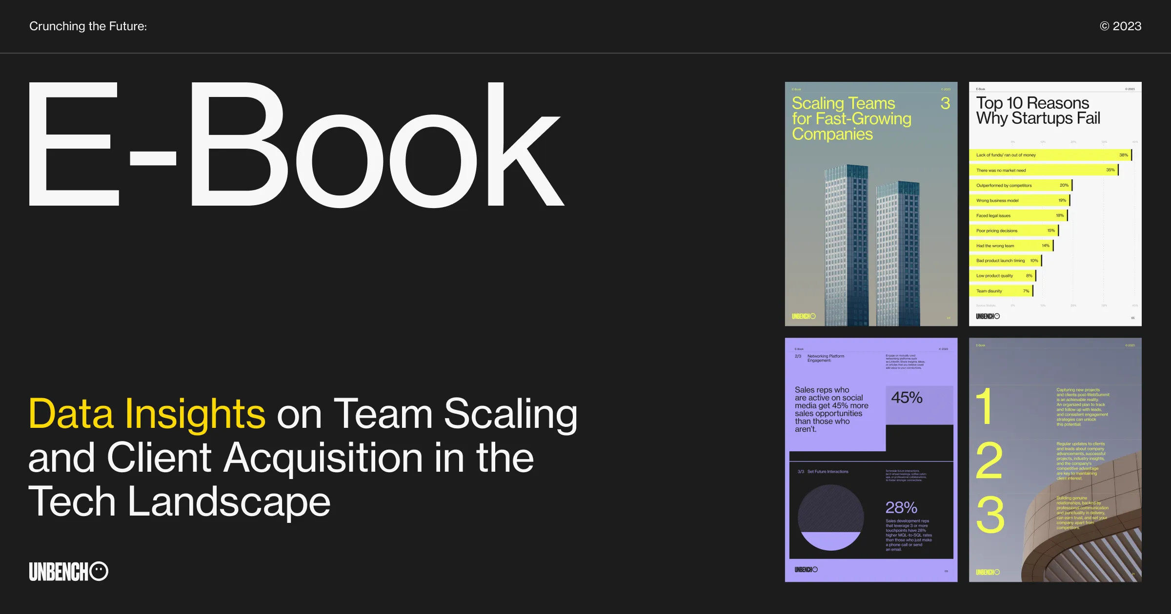 E-Book: Data Insights on Team Scaling and Client Acquisition in the Tech Landscape - Unbench