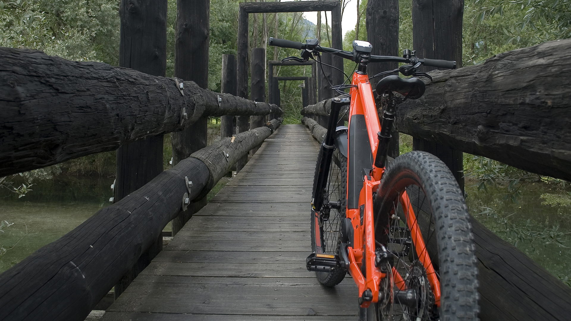 The Ultimate Guide to E-Bike Insurance | Velosure Blog