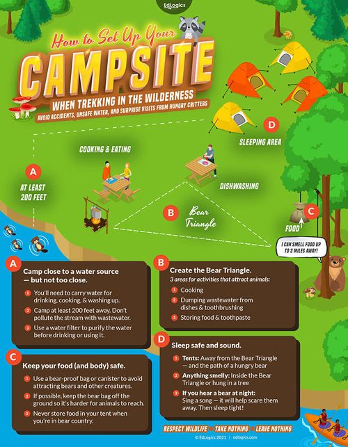 EdLogics | Shareable Health Infographics | Camping Safety