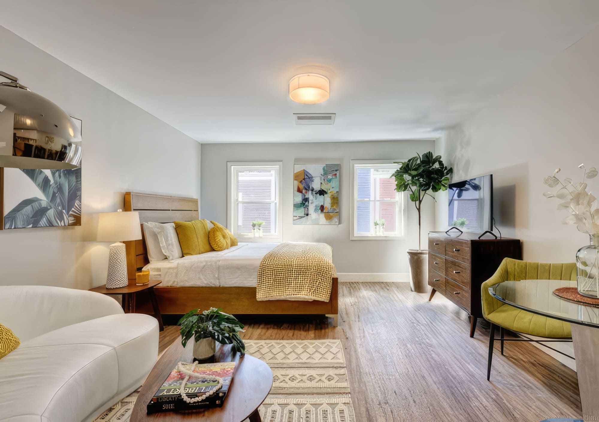 Sage Allen | Shelbourne