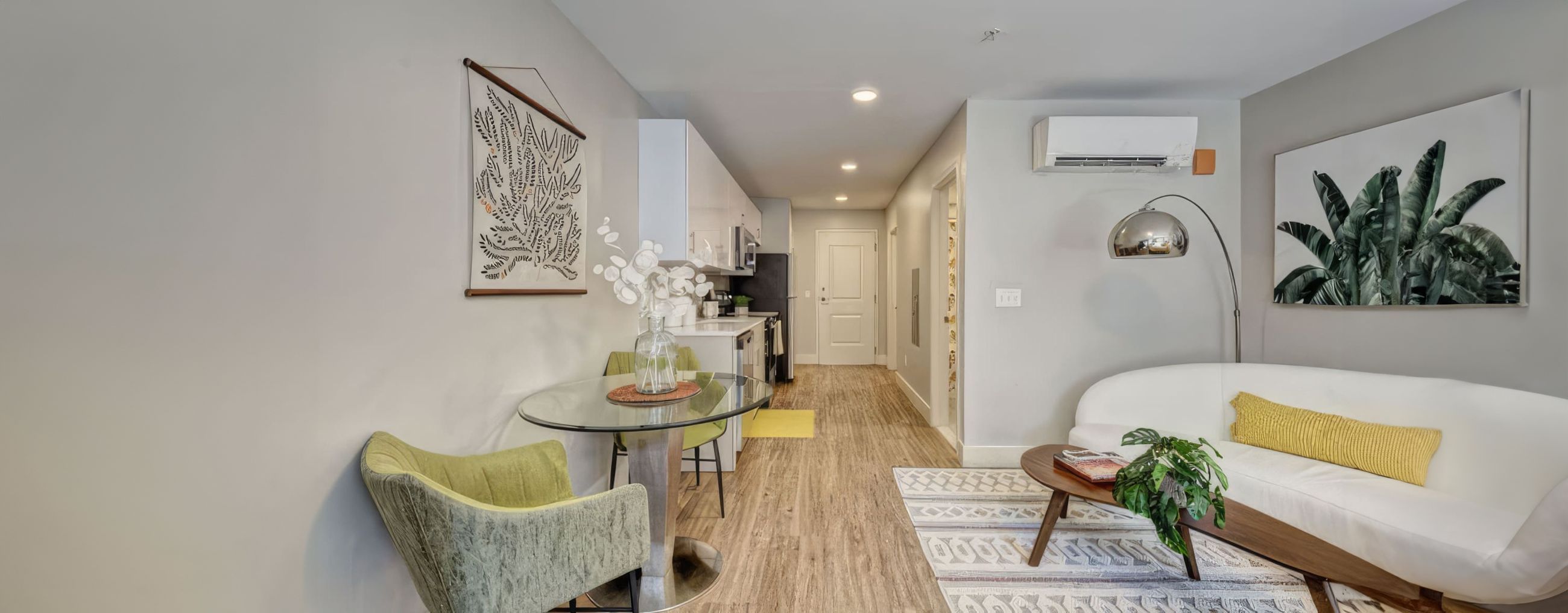 Sage Allen | Shelbourne