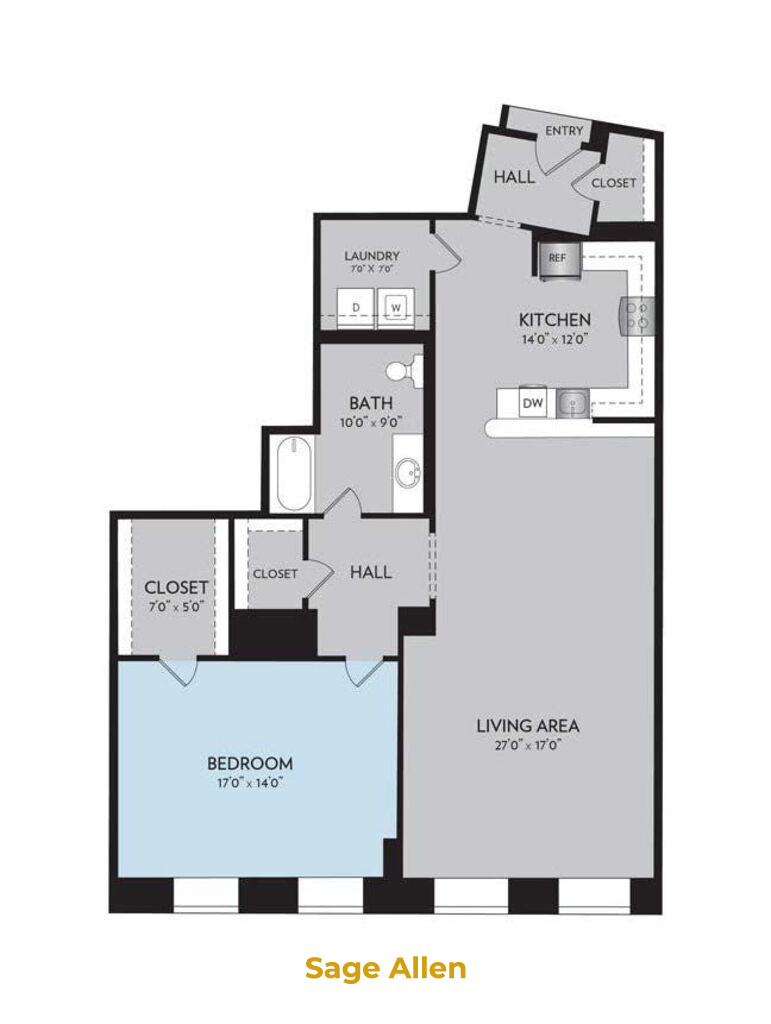 Sage Allen | Shelbourne