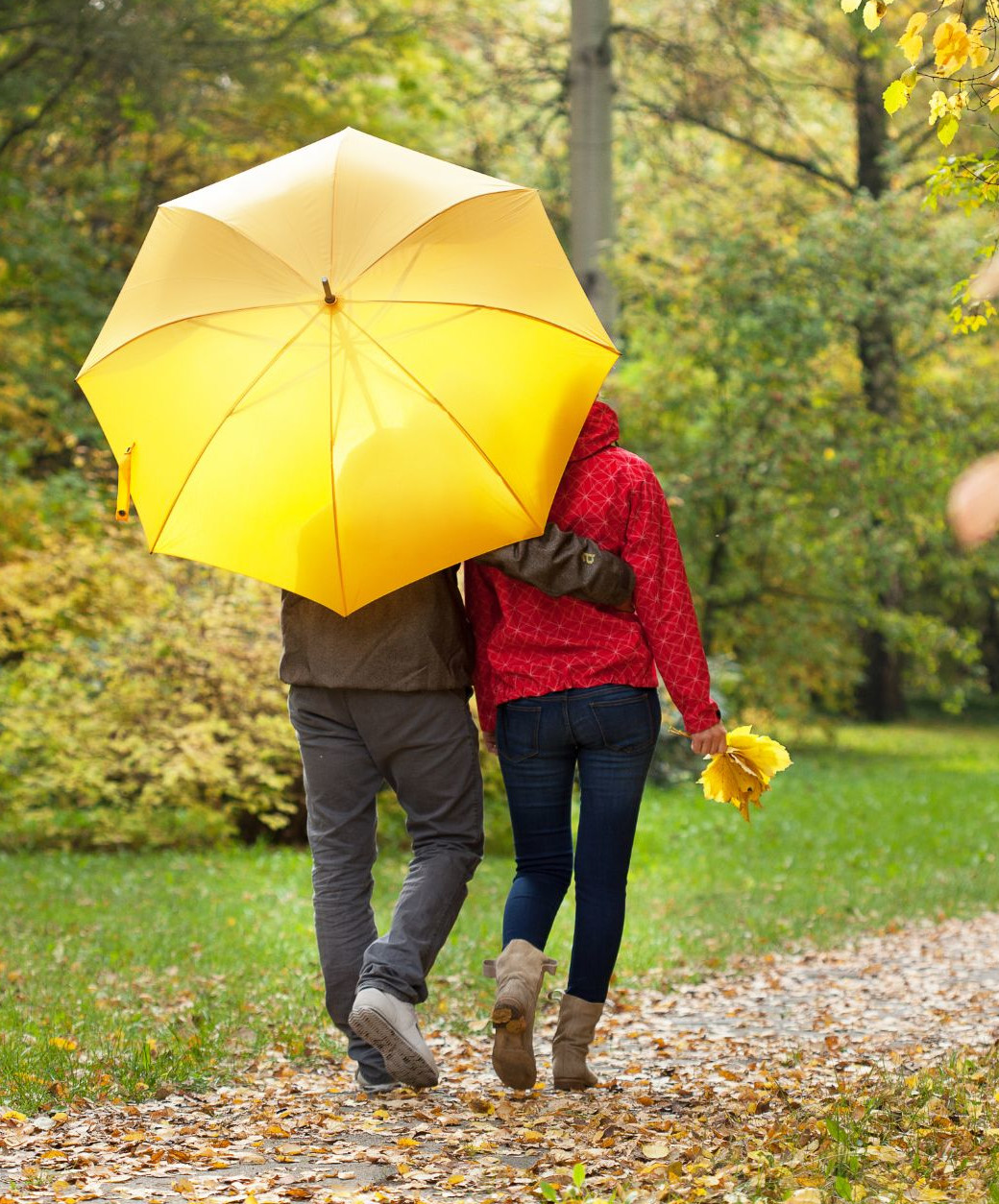 UFCW Union Pension Plan