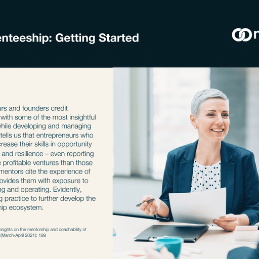 MindFrame Connect - Principles of Menteeship Resources