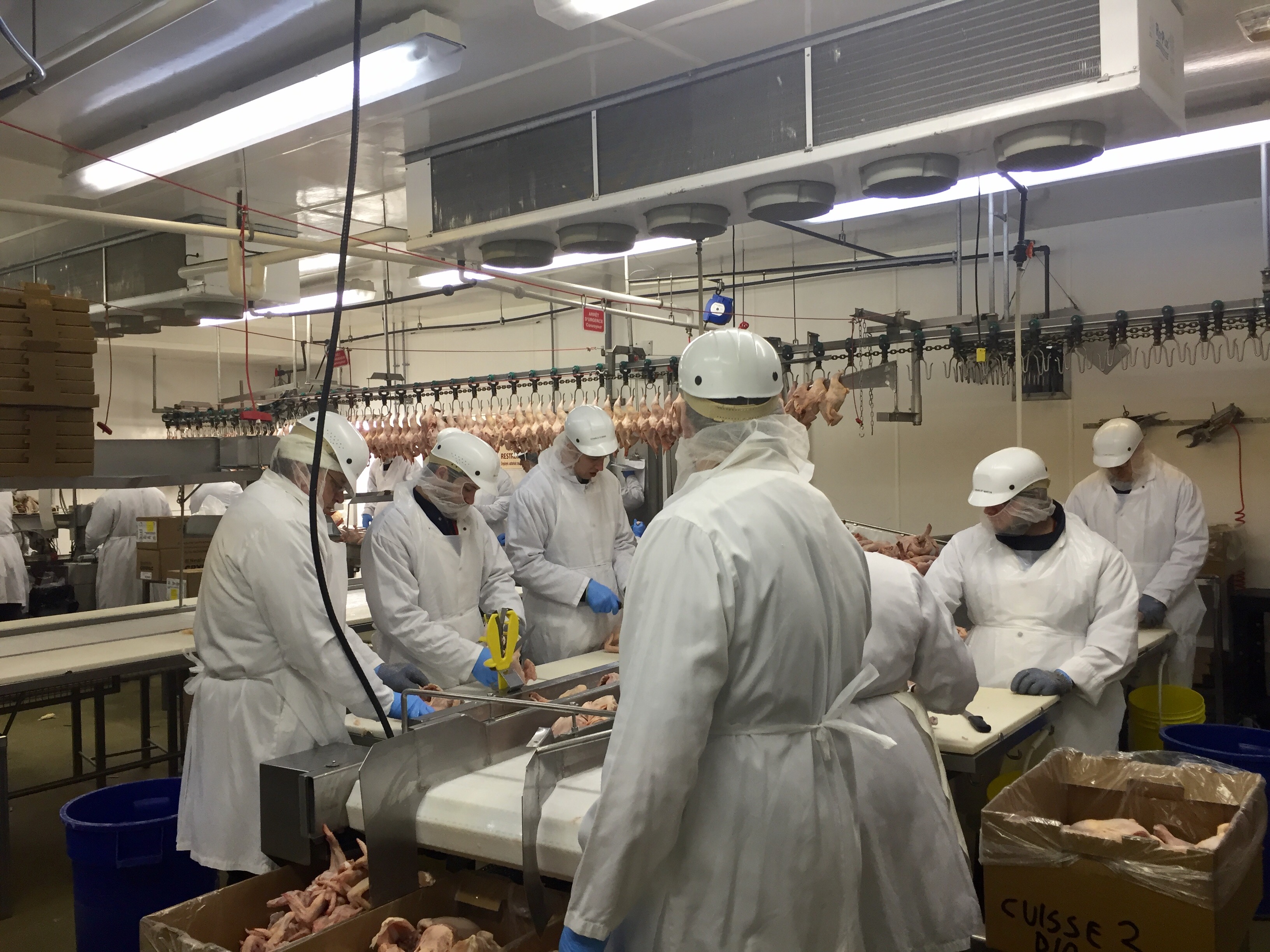 Worximity | How Real-time Data Will Impact Your Food Manufacturing ...